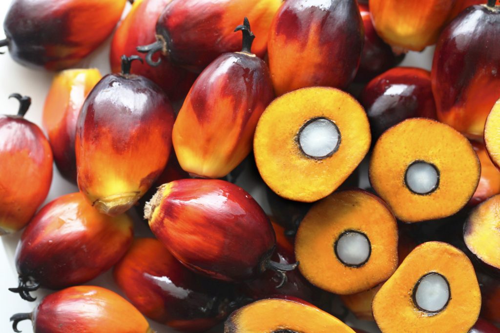 Corporate Information